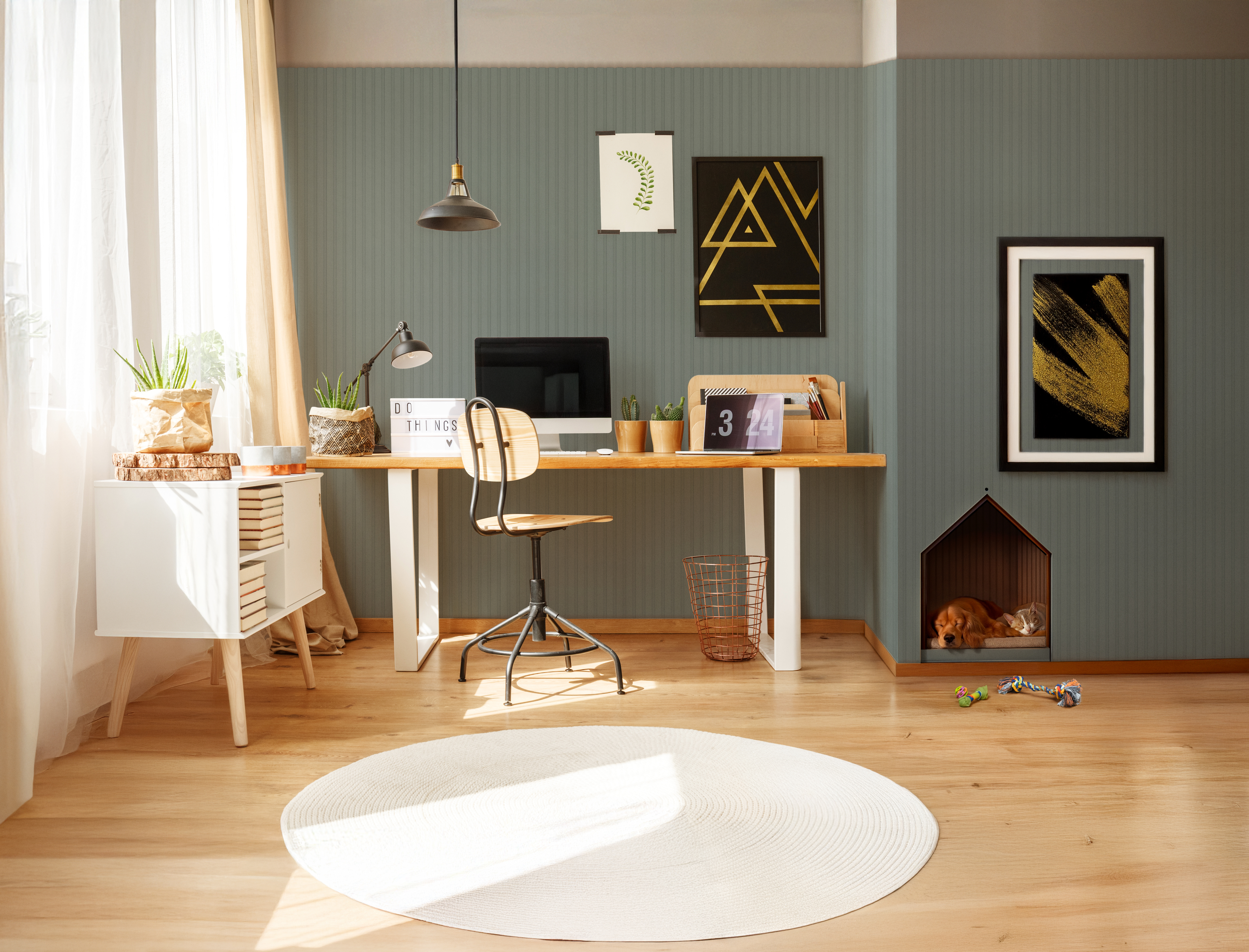 How to transform your home into a pet-friendly space